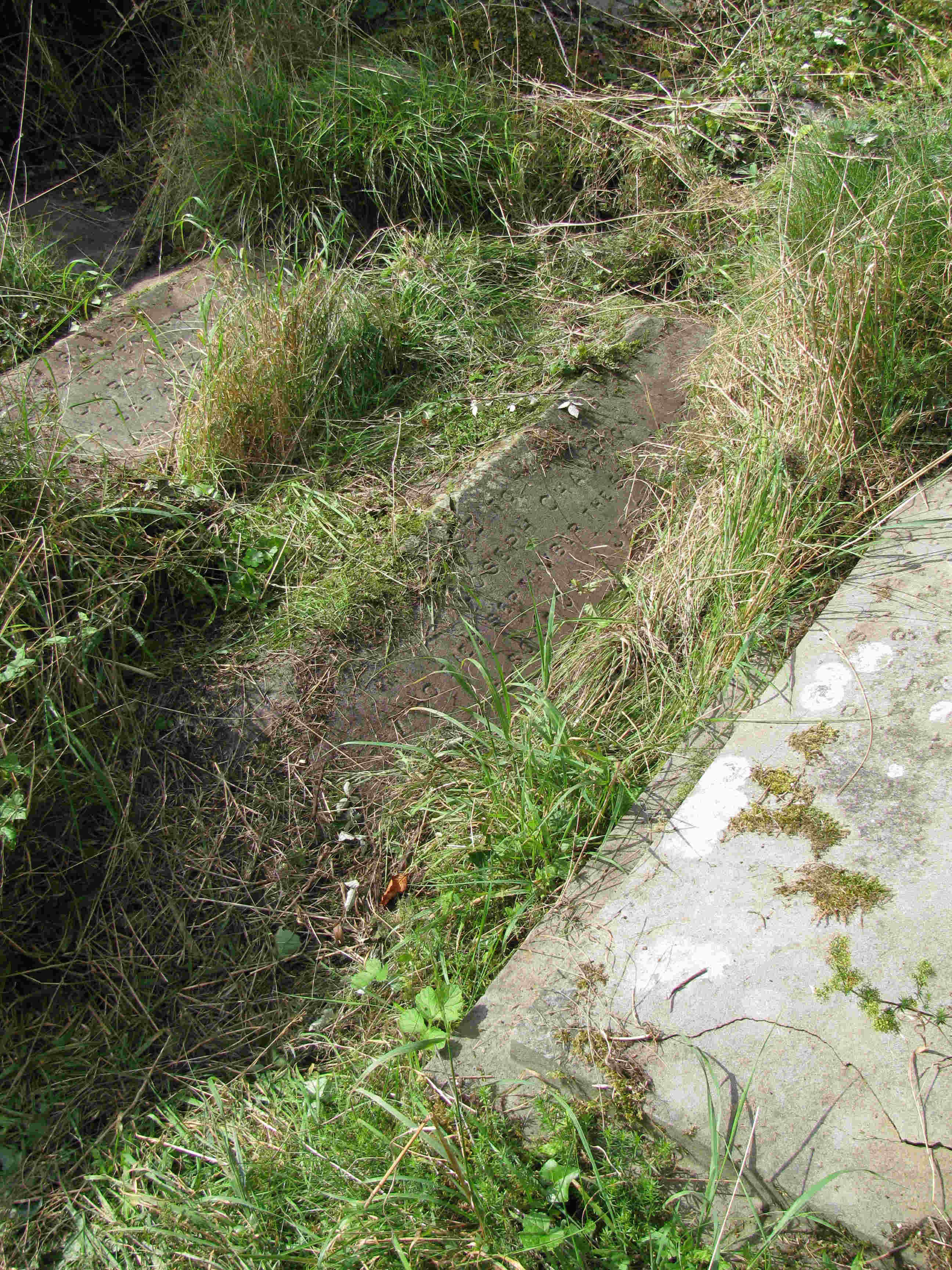 Celia Jane Champion | Bath Record Office